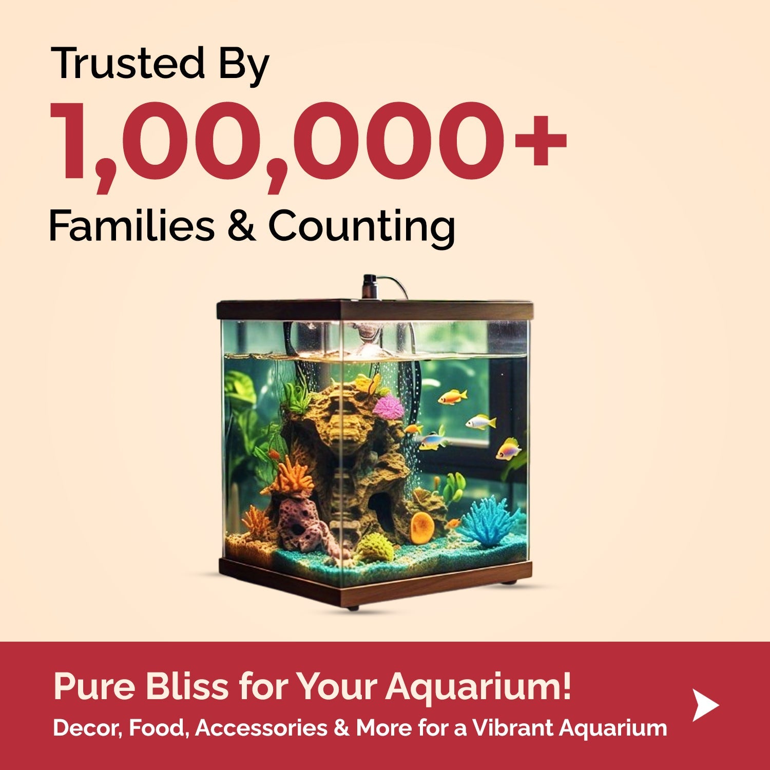 All Types of Aquarium and Pet Supplies – PetzLifeWorld