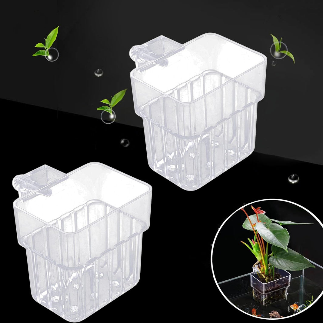 plant Holder – PetzLifeWorld